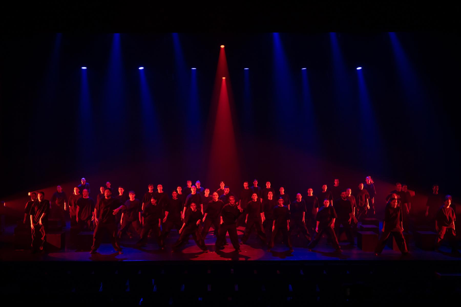 Sadeck Berrabah - Murmuration Level 2 - Palais des Sports - Dôme de ...