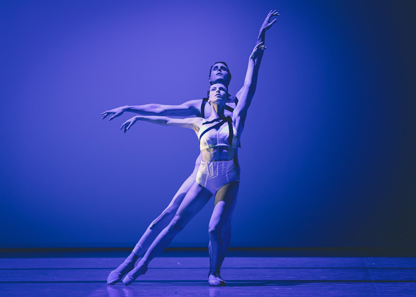 Racines - George Balanchine / Mthuthuzeli‎ November / Christopher ...