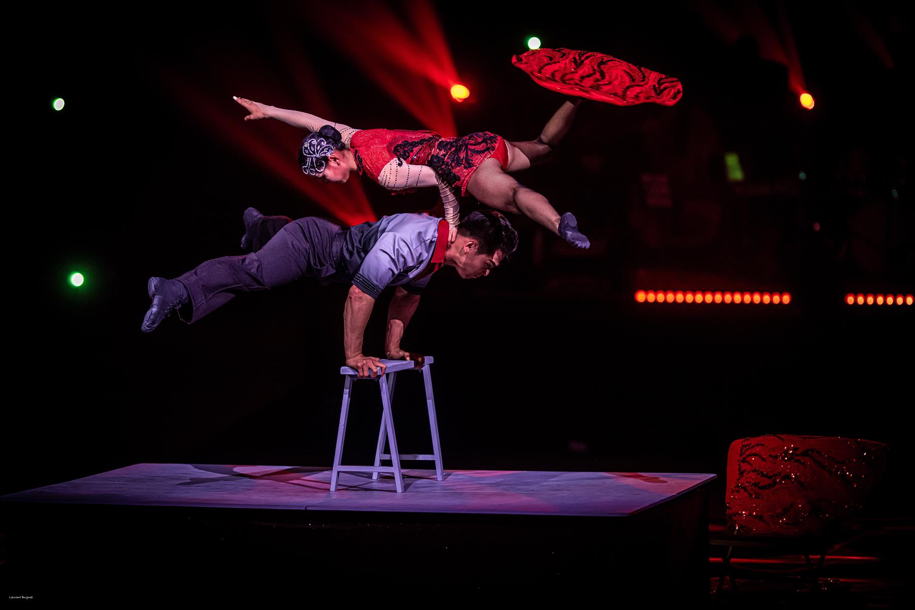 Millésime - Cirque Phénix | THEATREonline